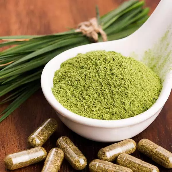 POWDERS - AU Natural Organics